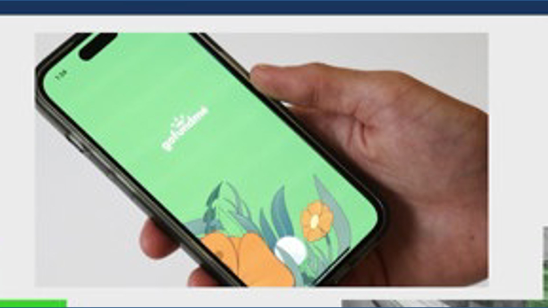 Verify: What are the rules for using GoFundMe?