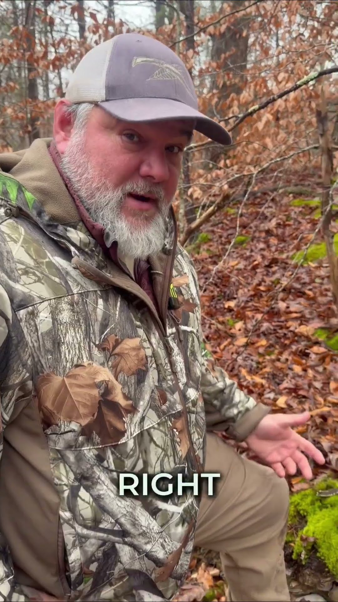 Most people miss this sign in the woods