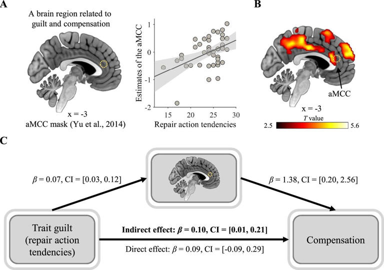 Scientists unravel neural networks that guide guilt and shame-driven ...