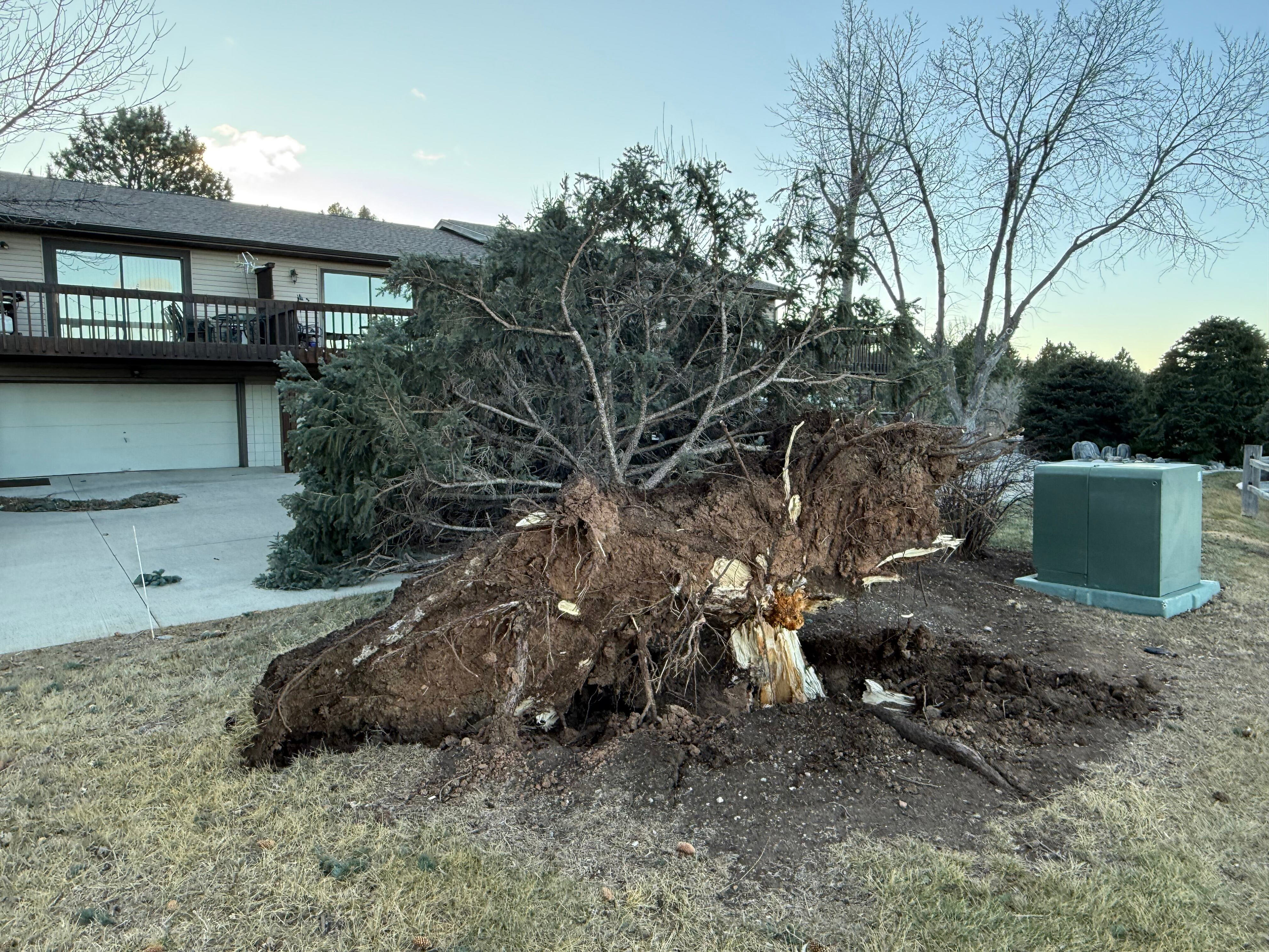 Gov. Rhoden seeks presidential disaster declaration after devastating ...