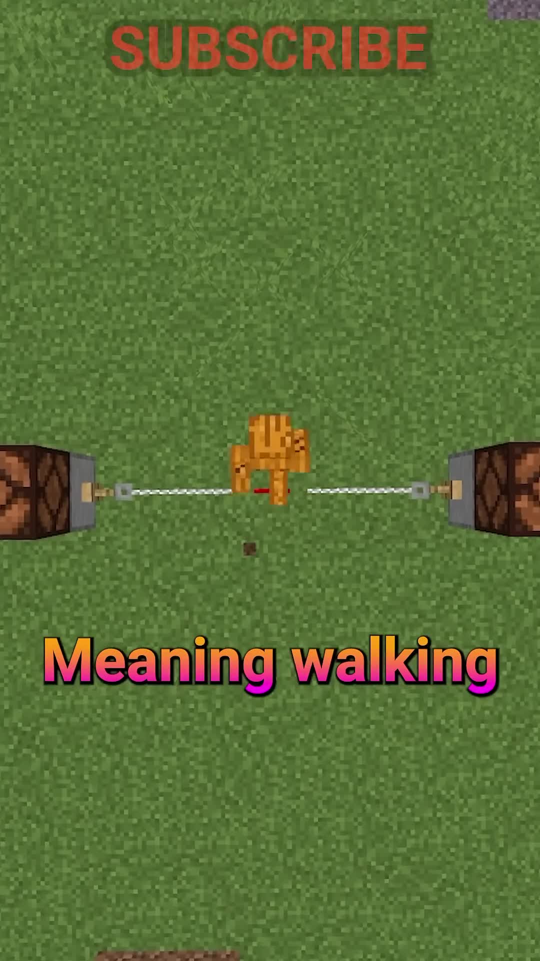 New rare block in Minecraft! #minecraft