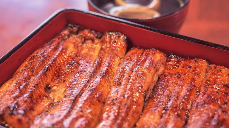 The 10 best dishes to have your first time in Japan