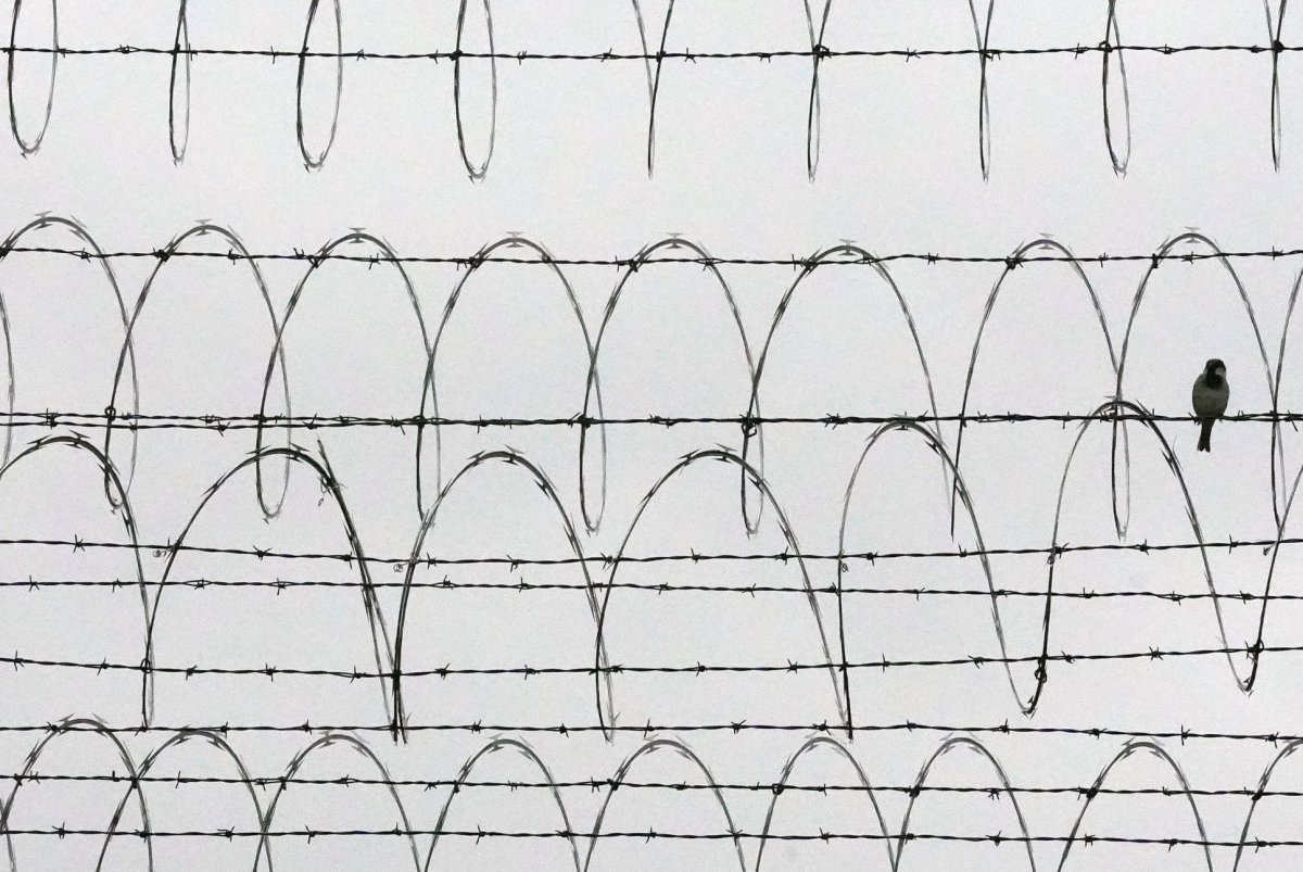 British man who fought for Ukraine given 13 years by Russian court