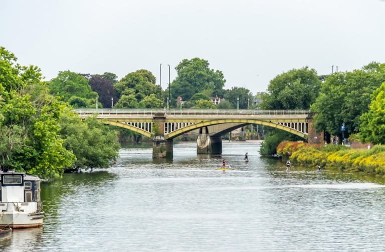 Drunk man who threw kittens off bridge pleads guilty