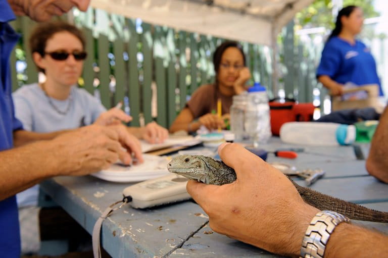 When abandoned conservation projects are counted as progress, what are ...