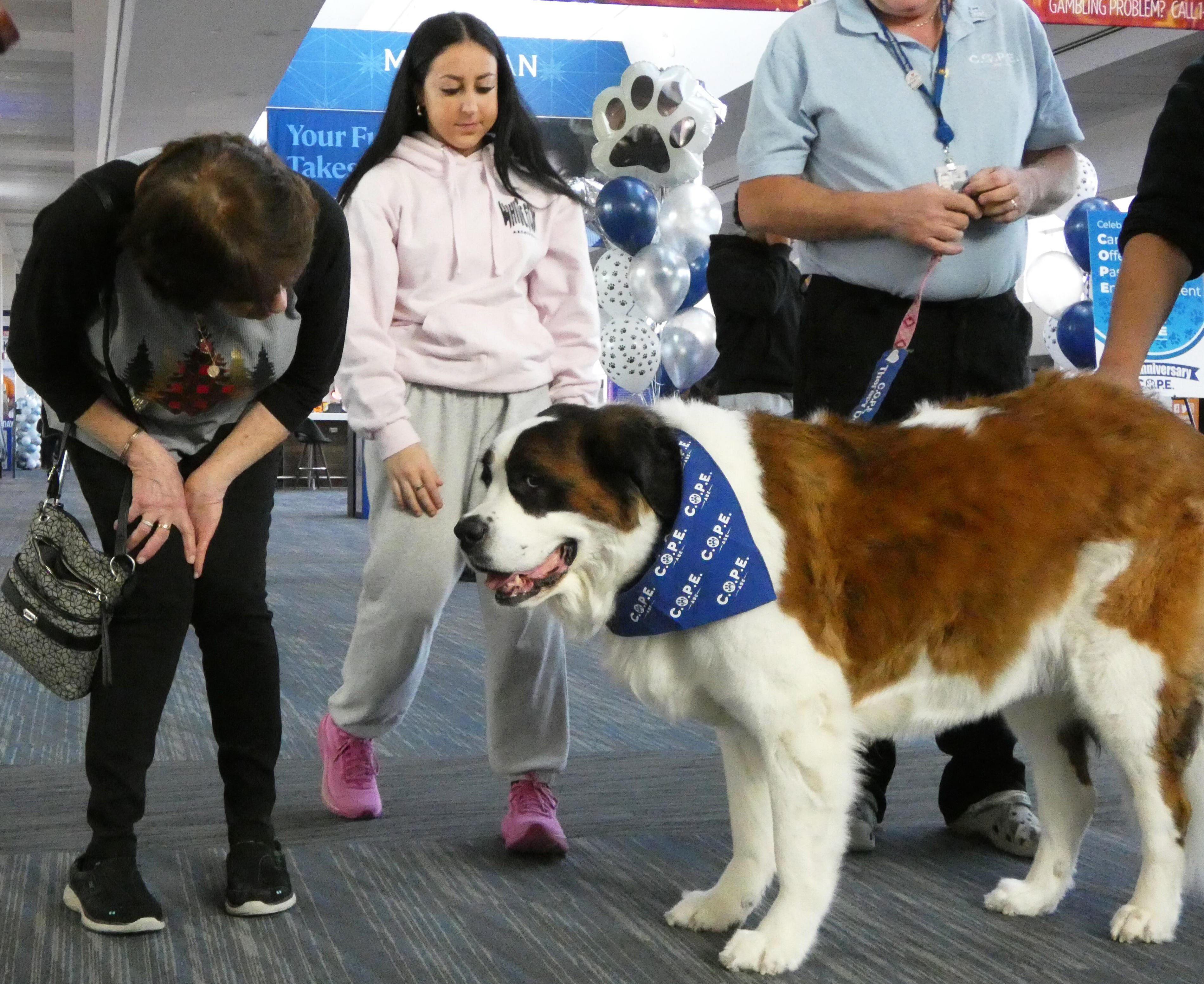 Lehigh Valley airport therapy dog program celebrates 10 years of ...