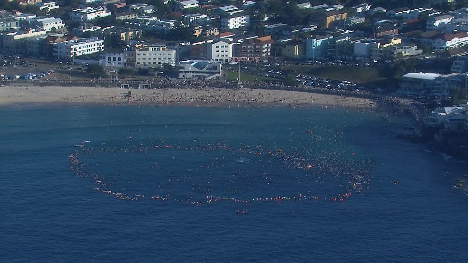 Online ISIS video feed probed as motivation behind Bondi attack