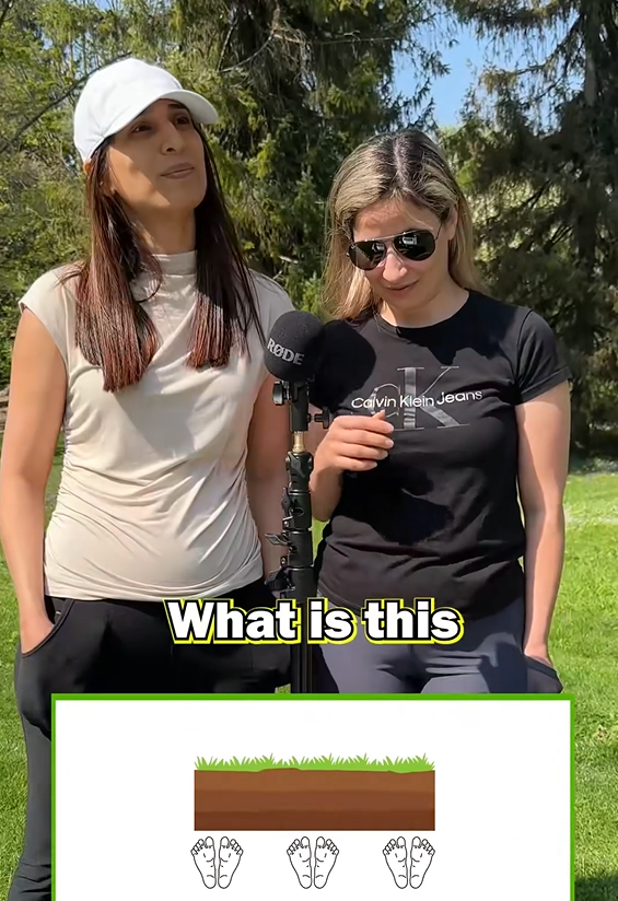 Fun brain teasers to challenge your mind