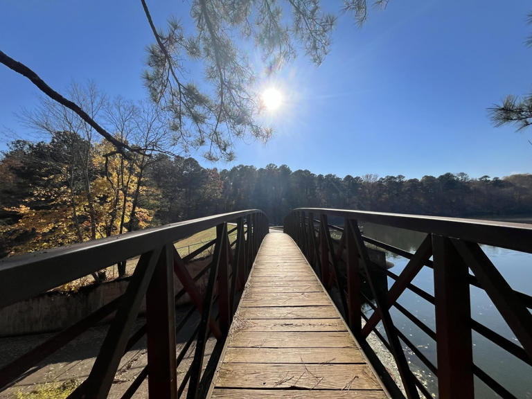 6 breathtaking bike trails in Raleigh for every enthusiast