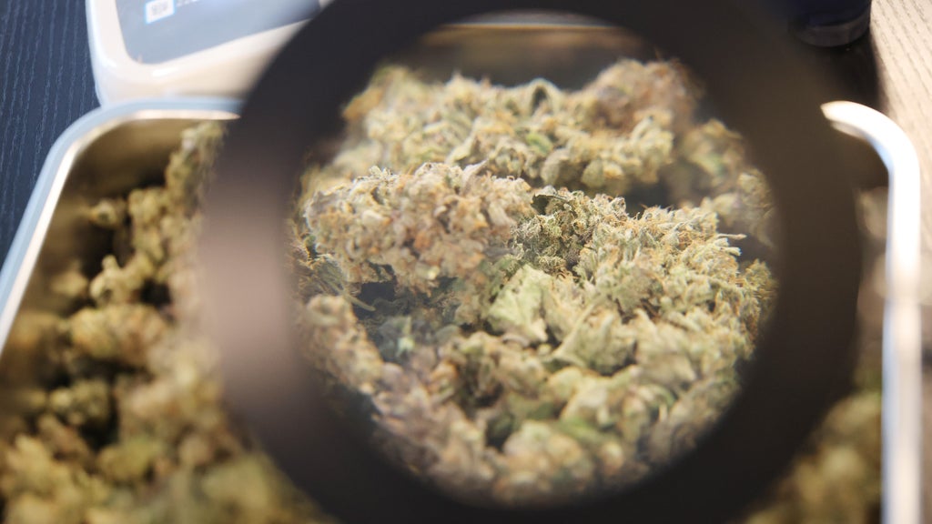 Marijuana's reclassification applauded by Maryland cannabis industry