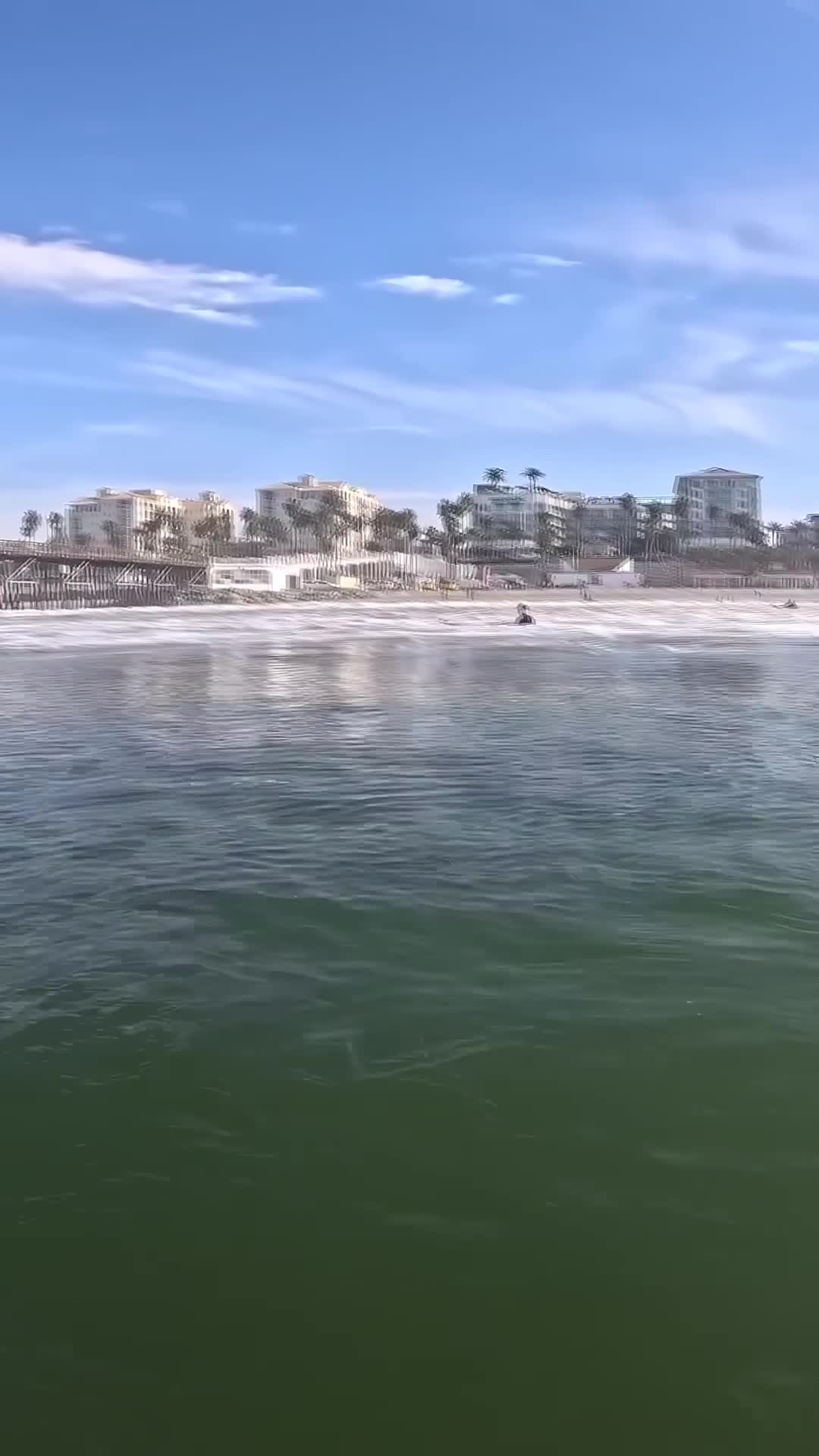 Did I fall on a shark?