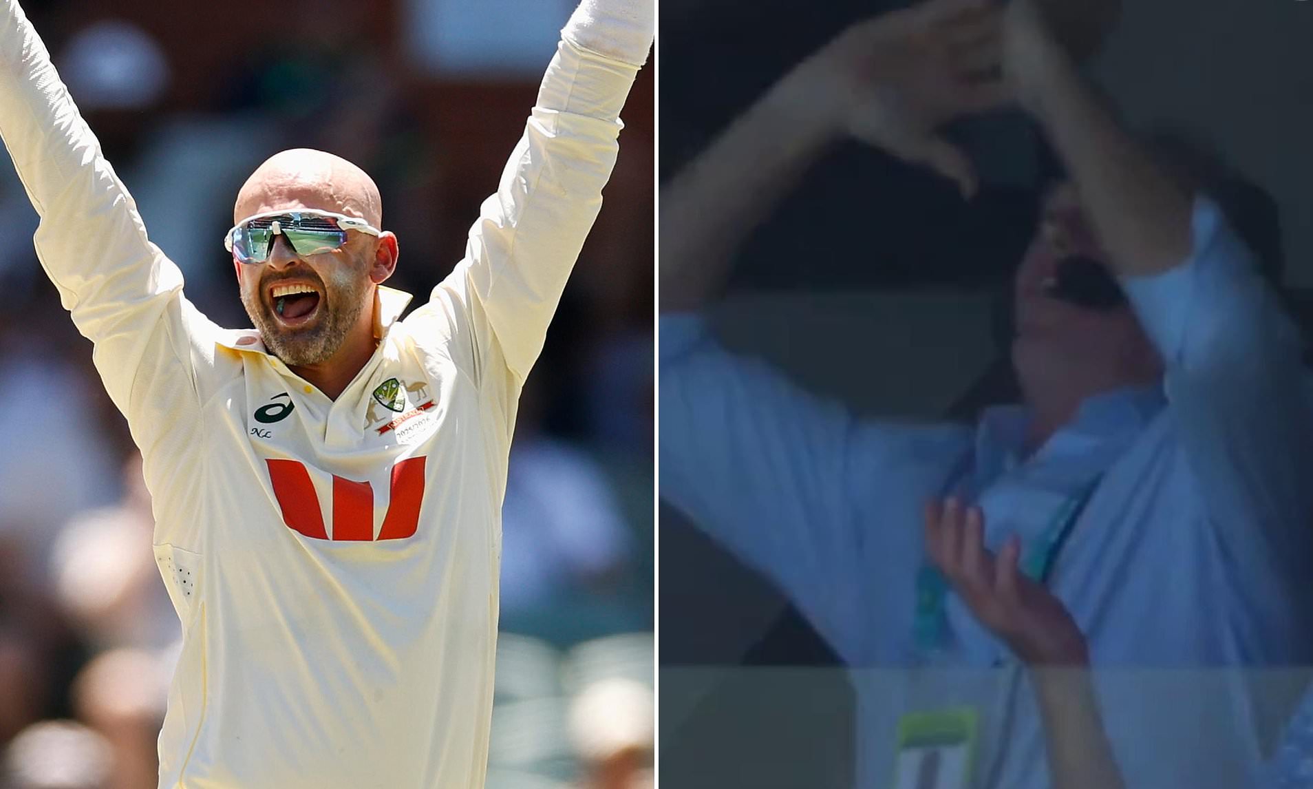 Glenn McGrath's hilarious reaction after being dethroned by Nathan Lyon
