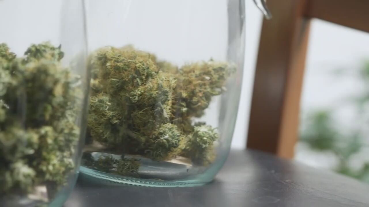 What could new executive order on marijuana mean for Ohioans?
