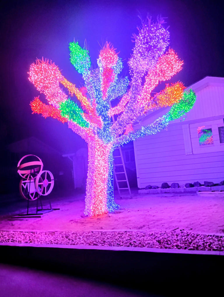 Christmas light displays across Reno-Sparks. See the map