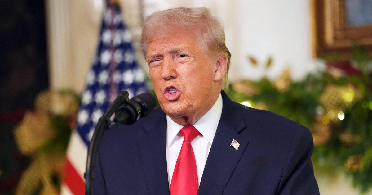 Donald Trump admits chief of staff Susie Wiles forced him to give ...