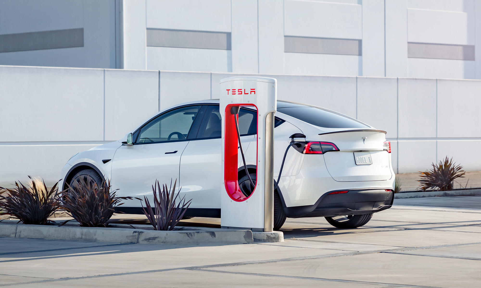 If you had invested $1,000 in Tesla stock 1 year ago, here's how much ...