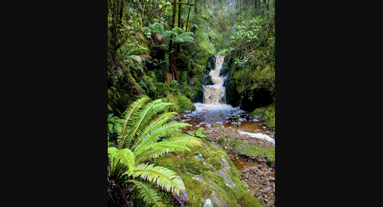 ベルギー人観光客がタスマニアの森林で単独ハイキング中に行方不明となった事件：2年あまり経って、スマートフォンが発見される