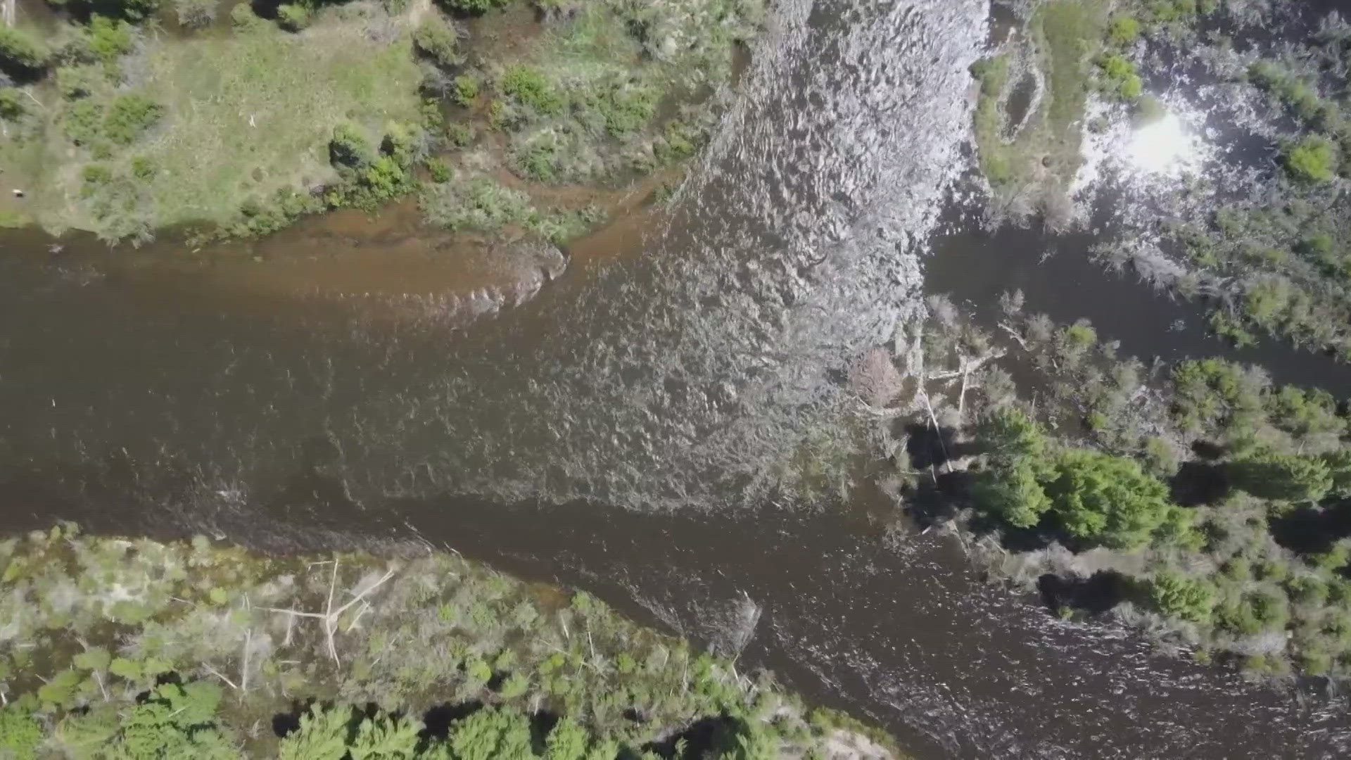 States race to solve water shortage