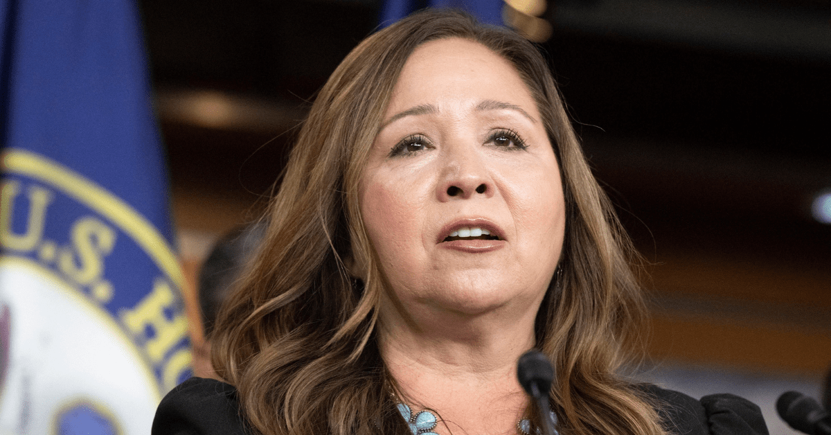 ICE agents pepper-spray Democratic congresswoman