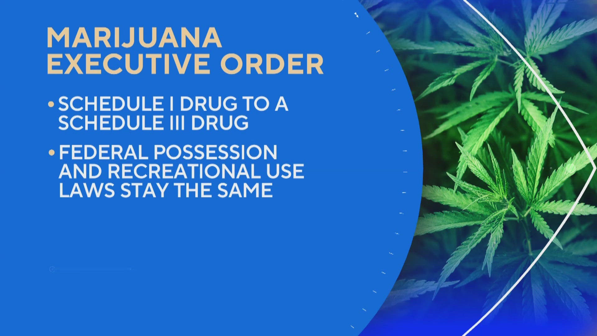 Trump makes significant shift in US marijuana drug policy after signing ...