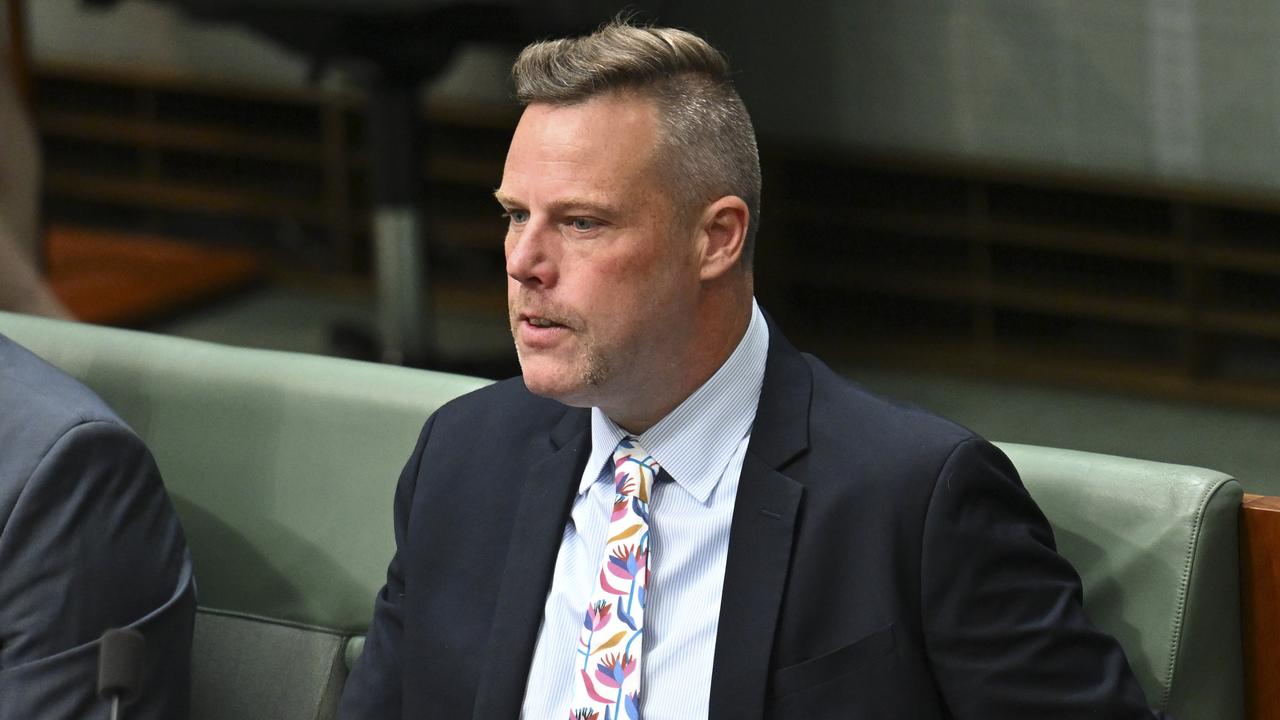 Labor MP’s shock call on gun reform