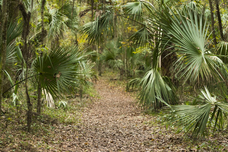 This quiet Florida town feels like a step back in time