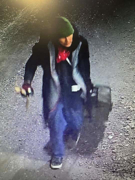 Calgary police seek to identify potential arson suspect