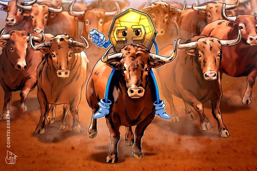 Crypto has everything needed for a bull market, so why is the market down?