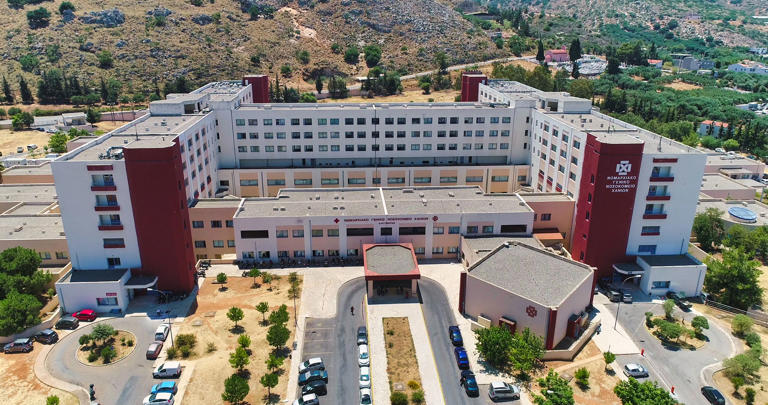 Χανιά: Διασωληνωμένος ο 4χρονος που δέχτηκε επίθεση από σκύλο ...
