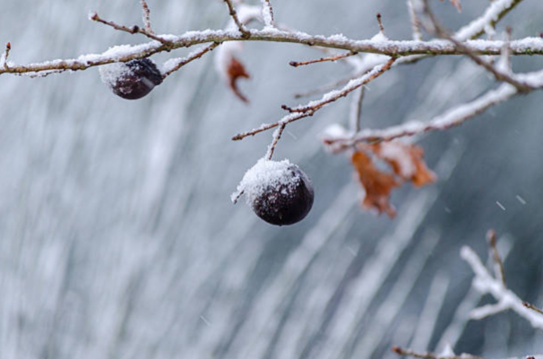 Llega un temporal a España y tu fin de año está en peligro: la AEMET ...