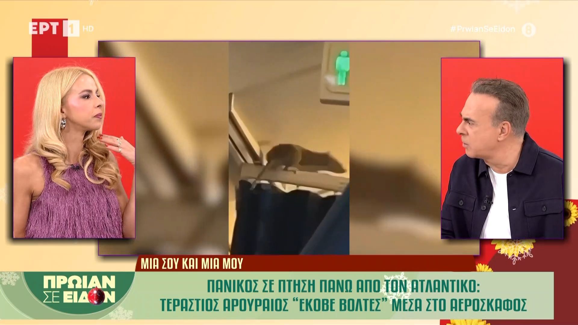 Πανικός σε πτήση πάνω από τον Ατλαντικό: Τεράστιος αρουραίος «έκοβε ...