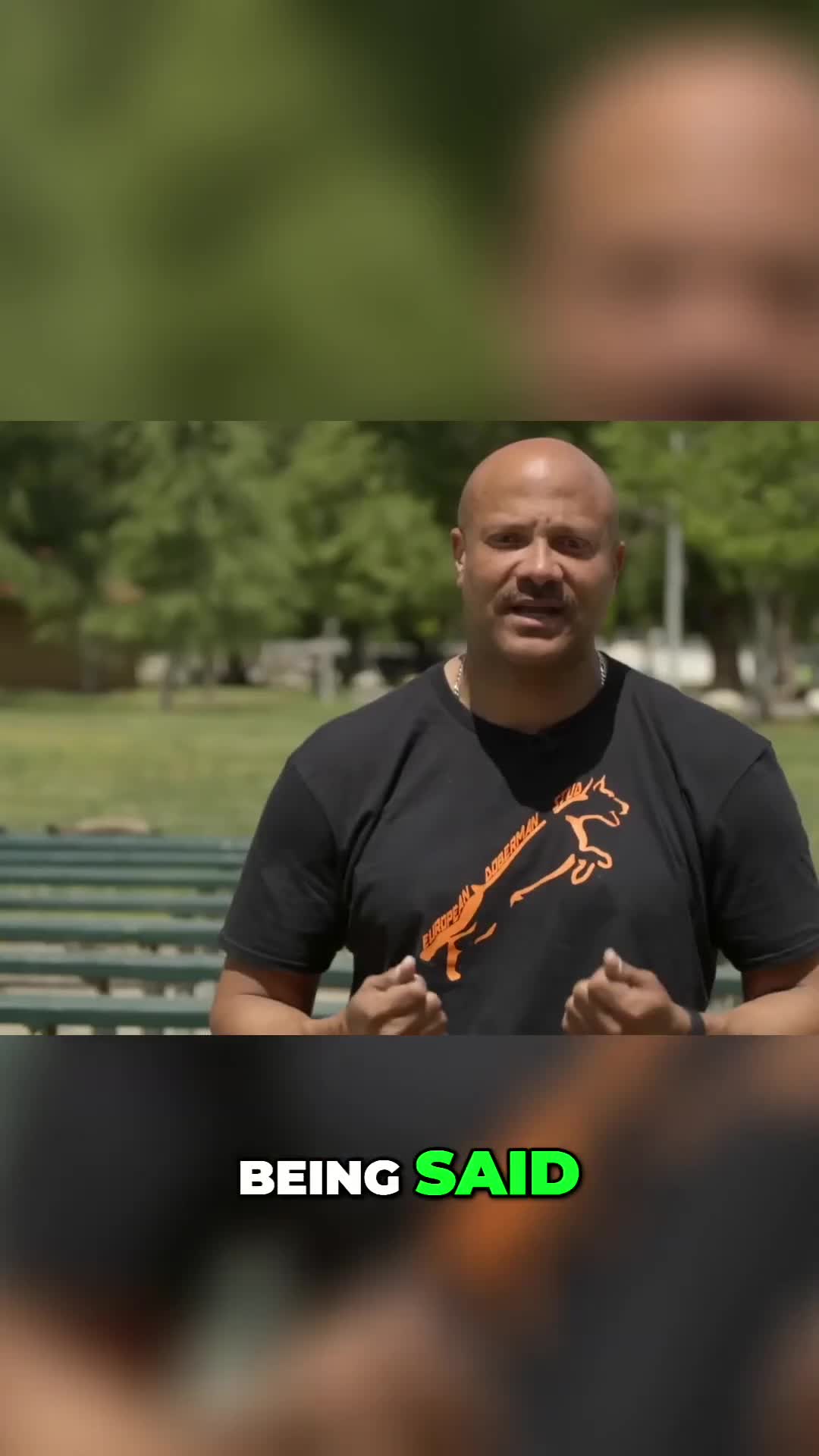 Why my dogs bring unconditional love every day! #canineinsights