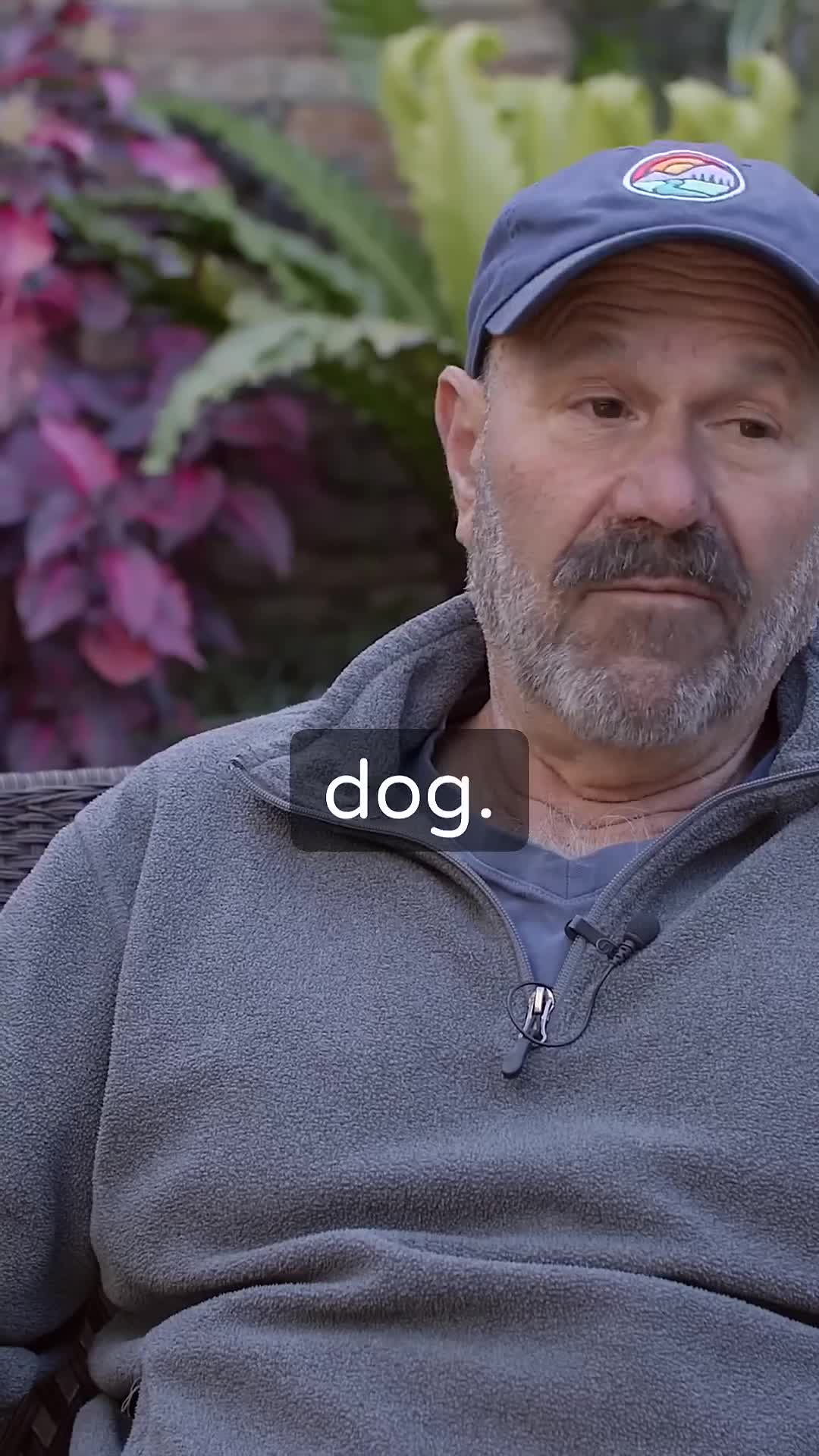 The value of a good female in dog breeding