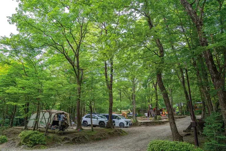 ノミネートキャンプ場を発表!＜最終一般投票も開始＞読者と編集部がベストキャンプ場を選ぶ【GARVY AWARD 2025】