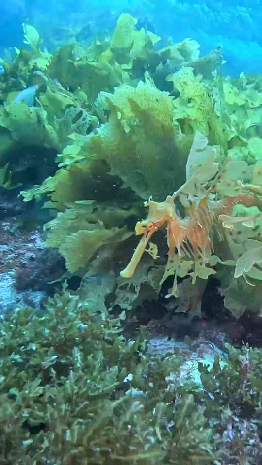 How a new wave of interest is fueling demands for a dinosaur animated film