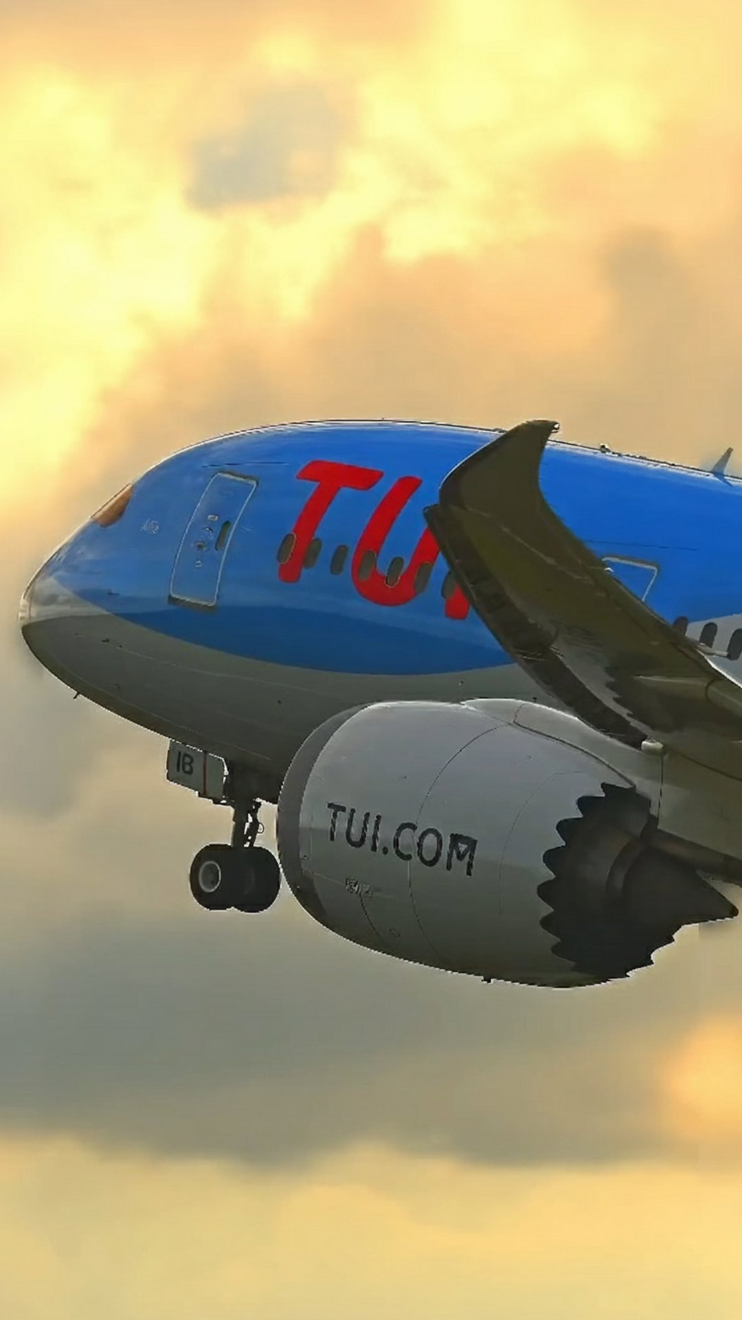 Boeing 787 takes off at dusk