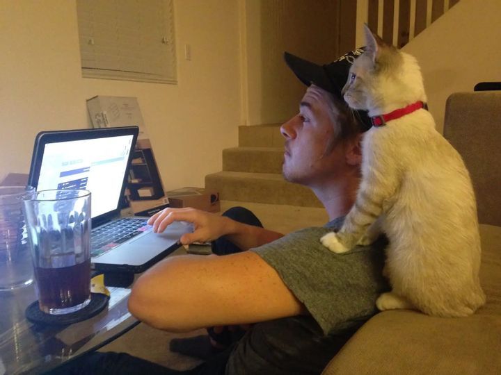 Pets that think they're people
