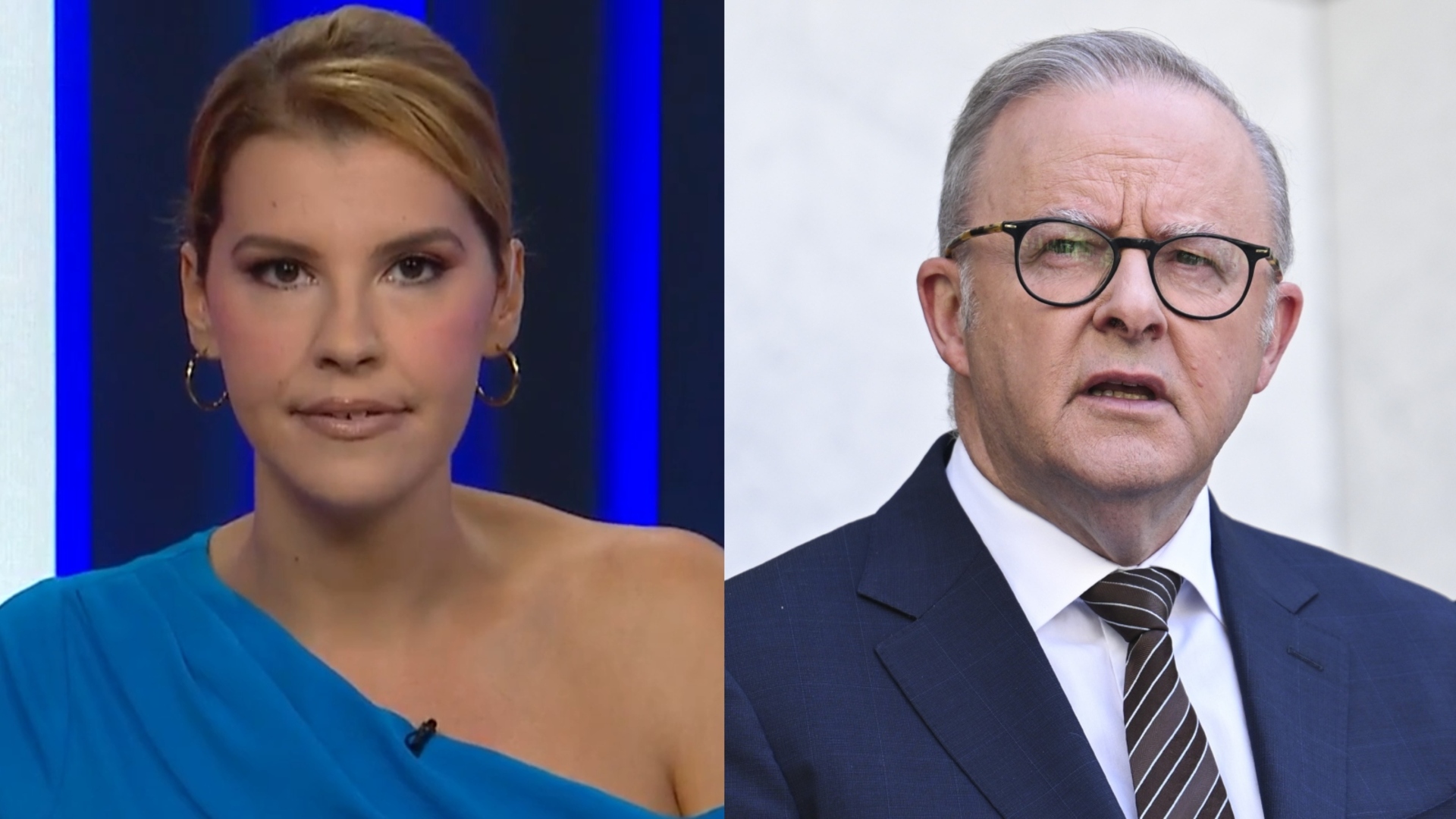 Albanese’s gun reforms are a 'fake solution' to a 'real issue'