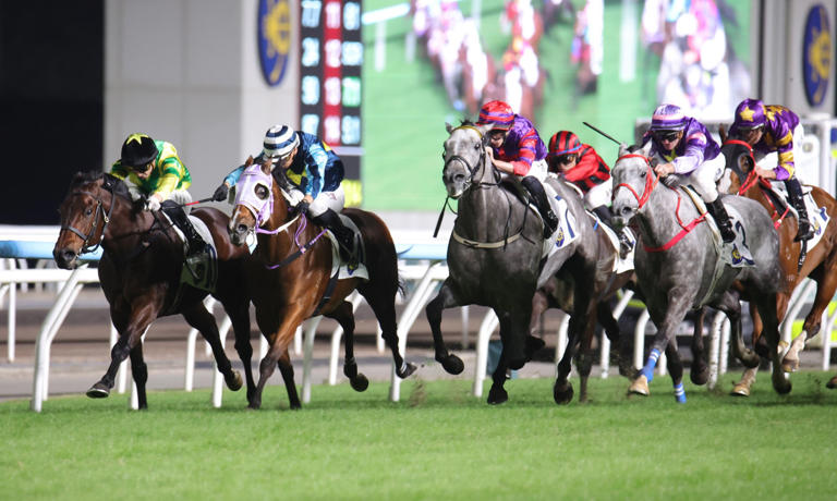 David Eustace is excited to test Dazzling Fit against the stand-out ...