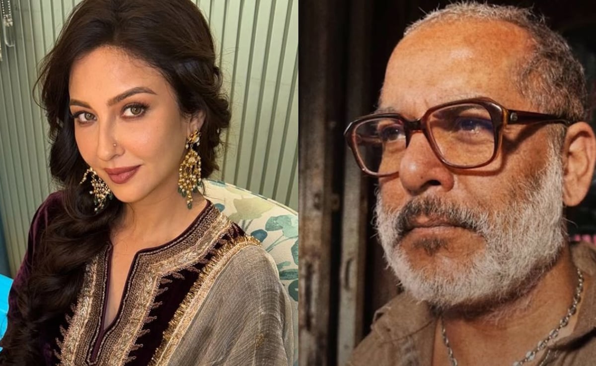 Saumya Tandon to Gaurav Gera, meet Dhurandhar actors who are massive TV ...