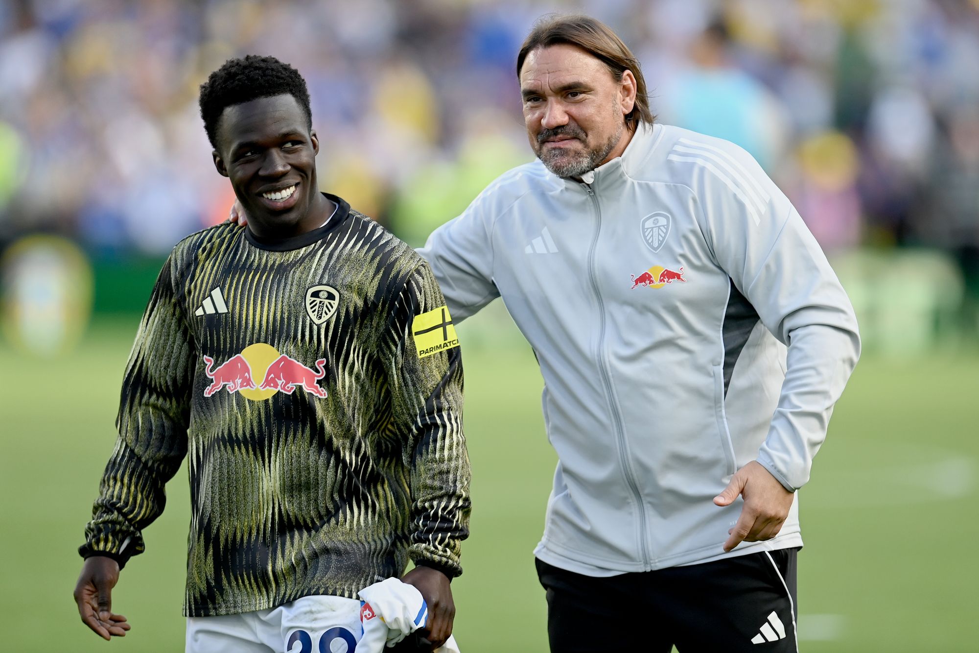 'Opportunity beckons' - Leeds United fans on Crystal Palace, Willy ...