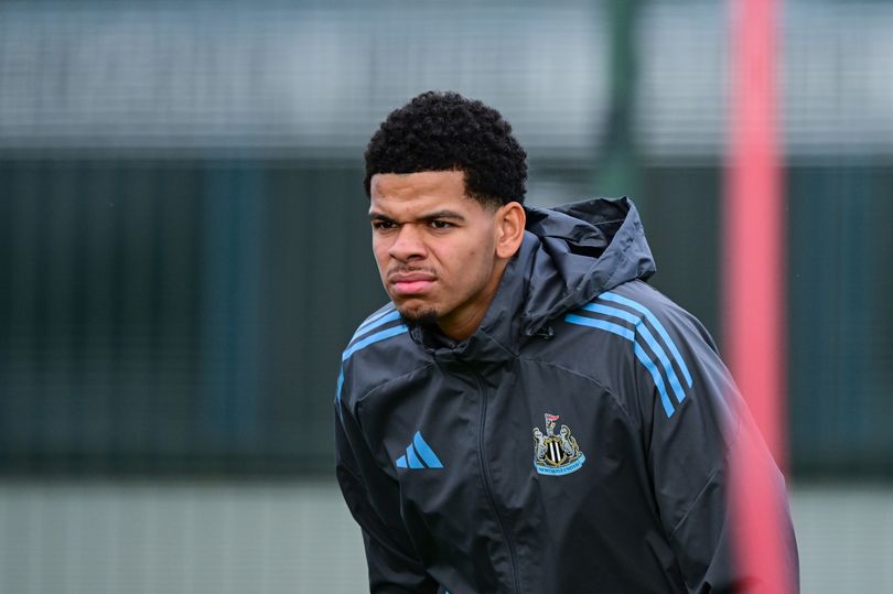 Newcastle United issue strong response after William Osula enquiry from ...