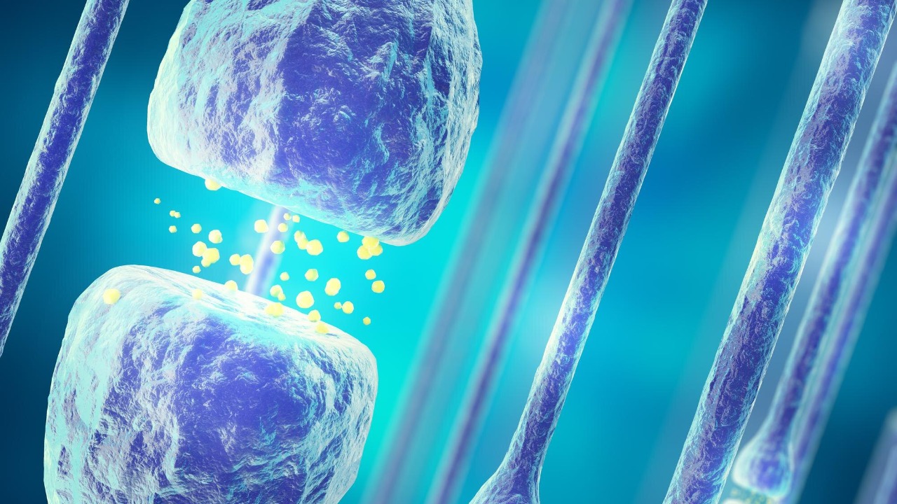 A stem cell sponge could absorb joint pain and shield cartilage