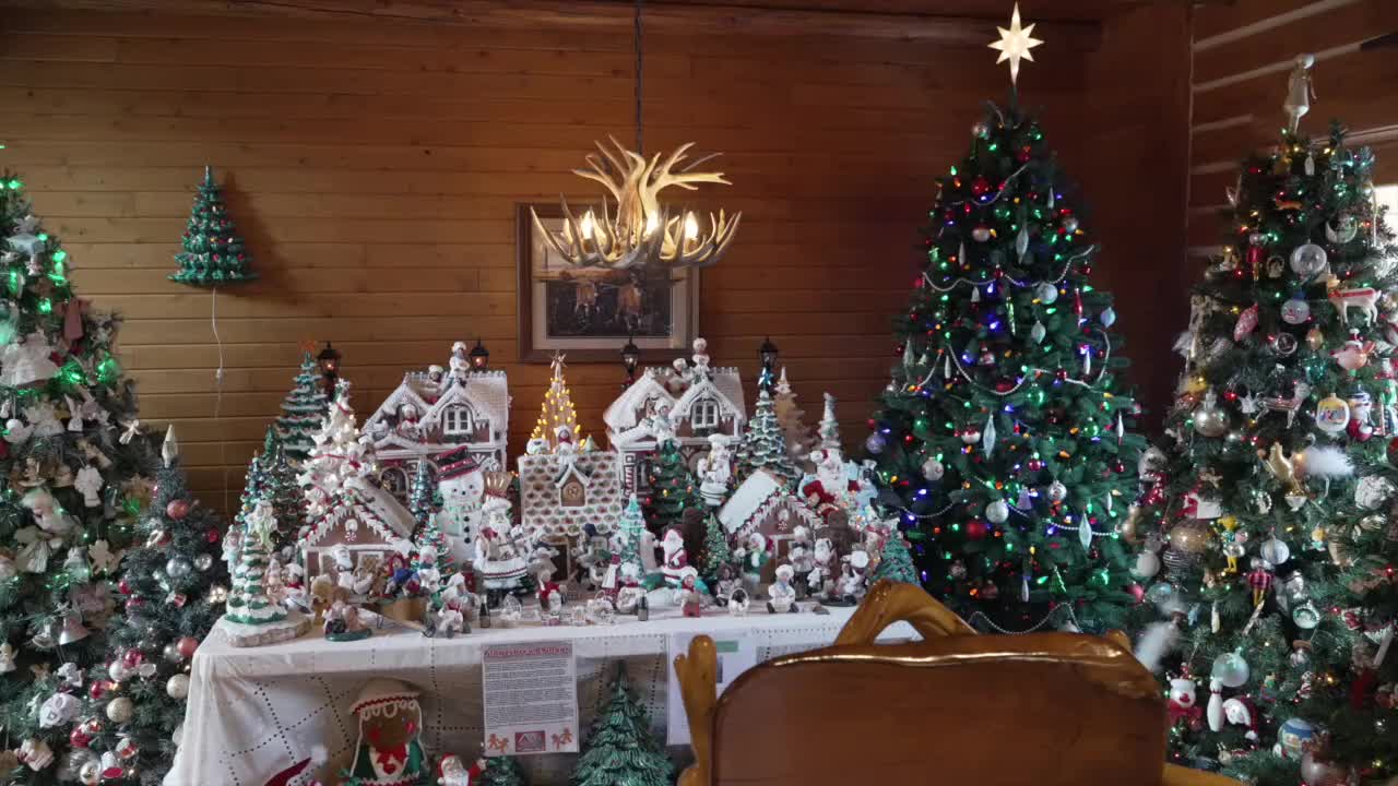 Michigan man transforms home into Christmas wonderland with 350 trees ...