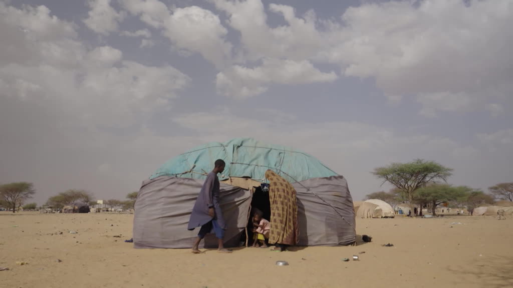 Scant humanitarian assistance for Malians fleeing violence