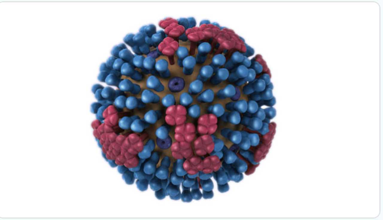 'Super flu' variant now spreading across US: What to know about subclade K