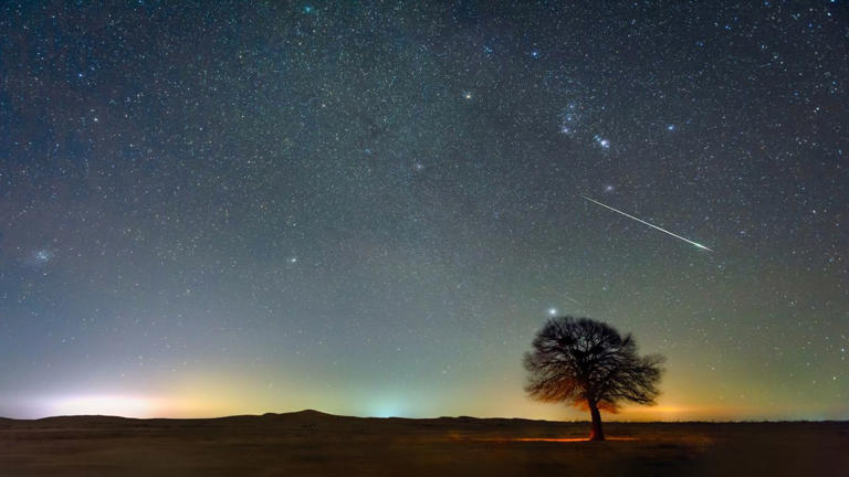 Ursid meteor shower 2025: When and where to see 'shooting stars' on the ...
