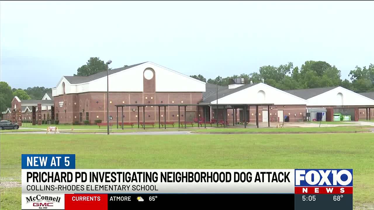 Dog attack at Collins-Rhodes Elementary School injures two students and ...