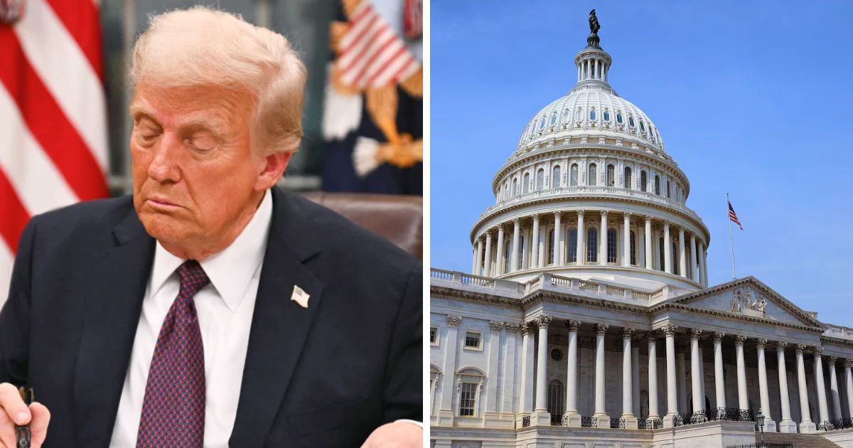 Donald Trump’s attempt to explain the Constitution backfires – netizens ...