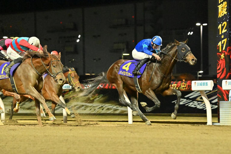 Skippylongstocking, Rattle N Roll back in weekend horse racing